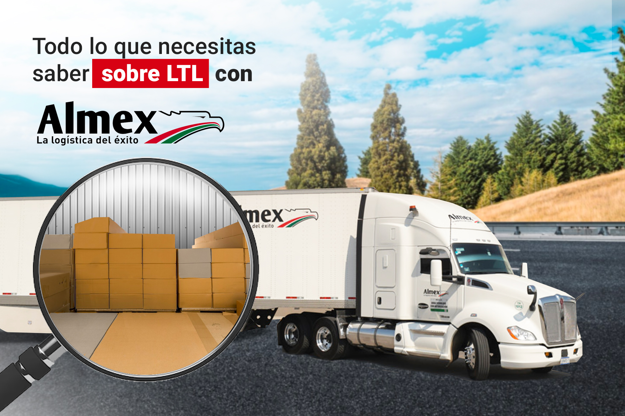Todo lo que necesitas saber sobre LTL con ALMEX - Almex